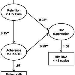 Baseline Model of Retention in HIV Care, Adherence to HAART and HIV ...