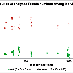 Distribution of analysed Froude numbers among individuals.