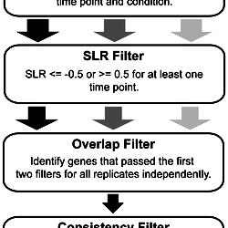 Flow chart of filtering process.