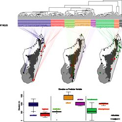 Dendrogram to geographic map.