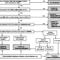 Flow chart for variant analysis.