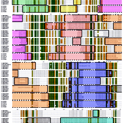 VB localisation and characterisation on each DBL from VAR2CSA.