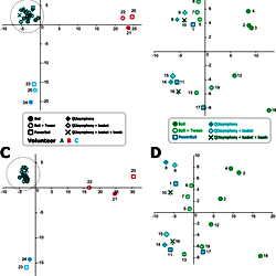 2D plot resulting from principal component analysis.