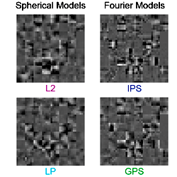 Image patch examples from Experiment 1.
