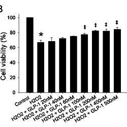 Effects of H2O2 treatment on cell viability in wild-type and DPP4 ...