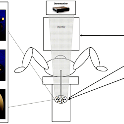 Schematic bladder navigation system.