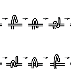Schematic illustration of the canonical leg movement.