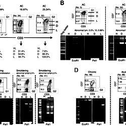 HTLV-I proviral load (VL) and clonality in each subpopulation, based on ...