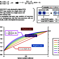 Equations and TC chart.