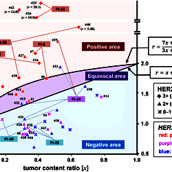 TC chart-assisted digital PCR analysis of clinical gastric cancer ...