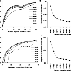 Average IDF and RIDF plots.