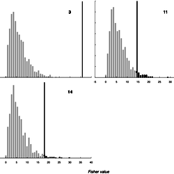 Selection of Fisher score distributions.