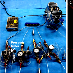 An External Tissue Expansion Device (ETED).