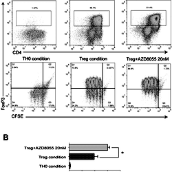 AZD8055 expands the proliferation and differentiation of Treg cells in ...