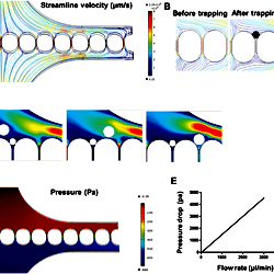 Computational fluid dynamics simulation.