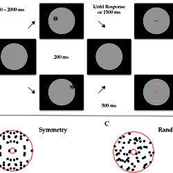 The Role of Visual Eccentricity on Preference for Abstract Symmetry - Fig 1