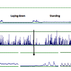 Example EMG data from laboratory and field measurements.