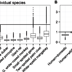 Contributions of species and species groups to under random mixing.