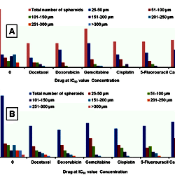 Comparative growth characteristics of spheroids.