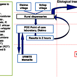 General scheme of the POC with a list of the pathogens diagnosed.