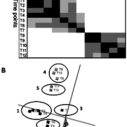 Correlation between time points.