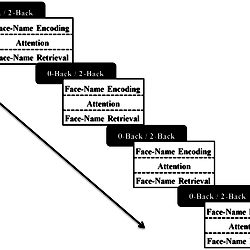 Task design: Experiment 2.