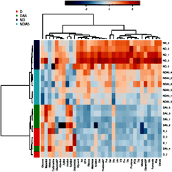 Heatmap of the entire metabolomics dataset.