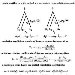 Framework of the present model.