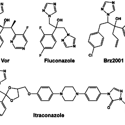 Structures of the triazoles voriconazole, fluconazole and itraconazole ...