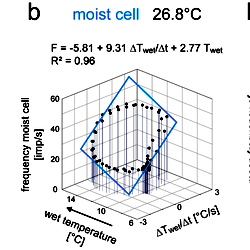 Humidity stimulation based on the wet- and dry-bulb principle.