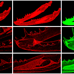 Mesh optimisation and solid mesh generation.