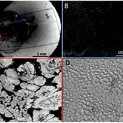 SEM images of a complex pearl with dark pigmentation and a flaw.