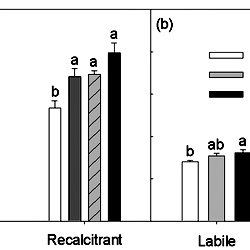 The temperature sensitivity of SOC mineralization for both the labile ...