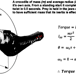 Calculation of twist forces.