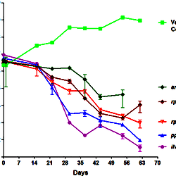 AS-silencing of Mtb targets under replicating in-vitro growth conditions.