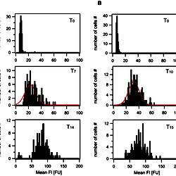 Definition of the switching threshold.
