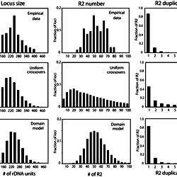 Comparison of the rDNA loci from natural populations with computer ...