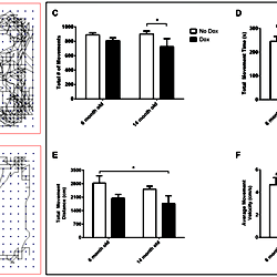 Open Field Movement Activity.