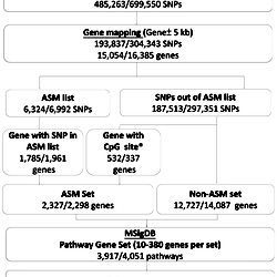 The summary description of present pathway-based method.