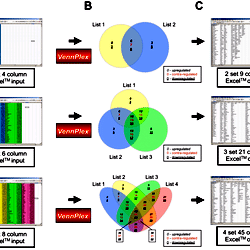 VennPlex data input and output scenarios.