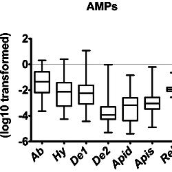 Broad range of AMP production in midgut barrier epithelium.