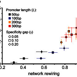 Network-architecture level mechanisms.