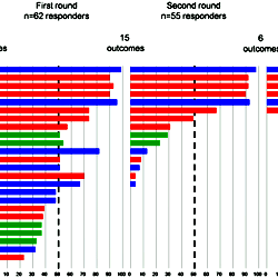 Outcomes flow chart and results of the Delphi process.