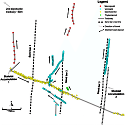 Map of the VVP site.
