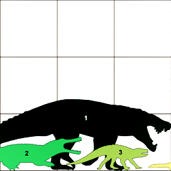 Comparative size of Susisuchus anatoceps to other Brazilian Cretaceous ...