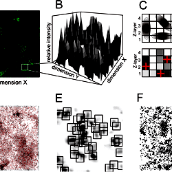 Principals of image processing and adaptive segmentation and binarization.