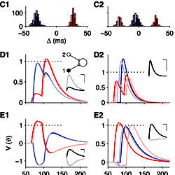 Mechanisms of spike-latency-based neuronal computing.