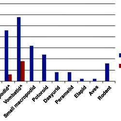 Relative abundance of taxa represented by trace and skeletal fossils.