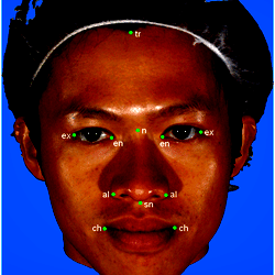 Anthropometric landmarks used in this study.