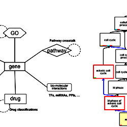 Collection of biological knowledge-based annotation resources for genes and gene clusters.